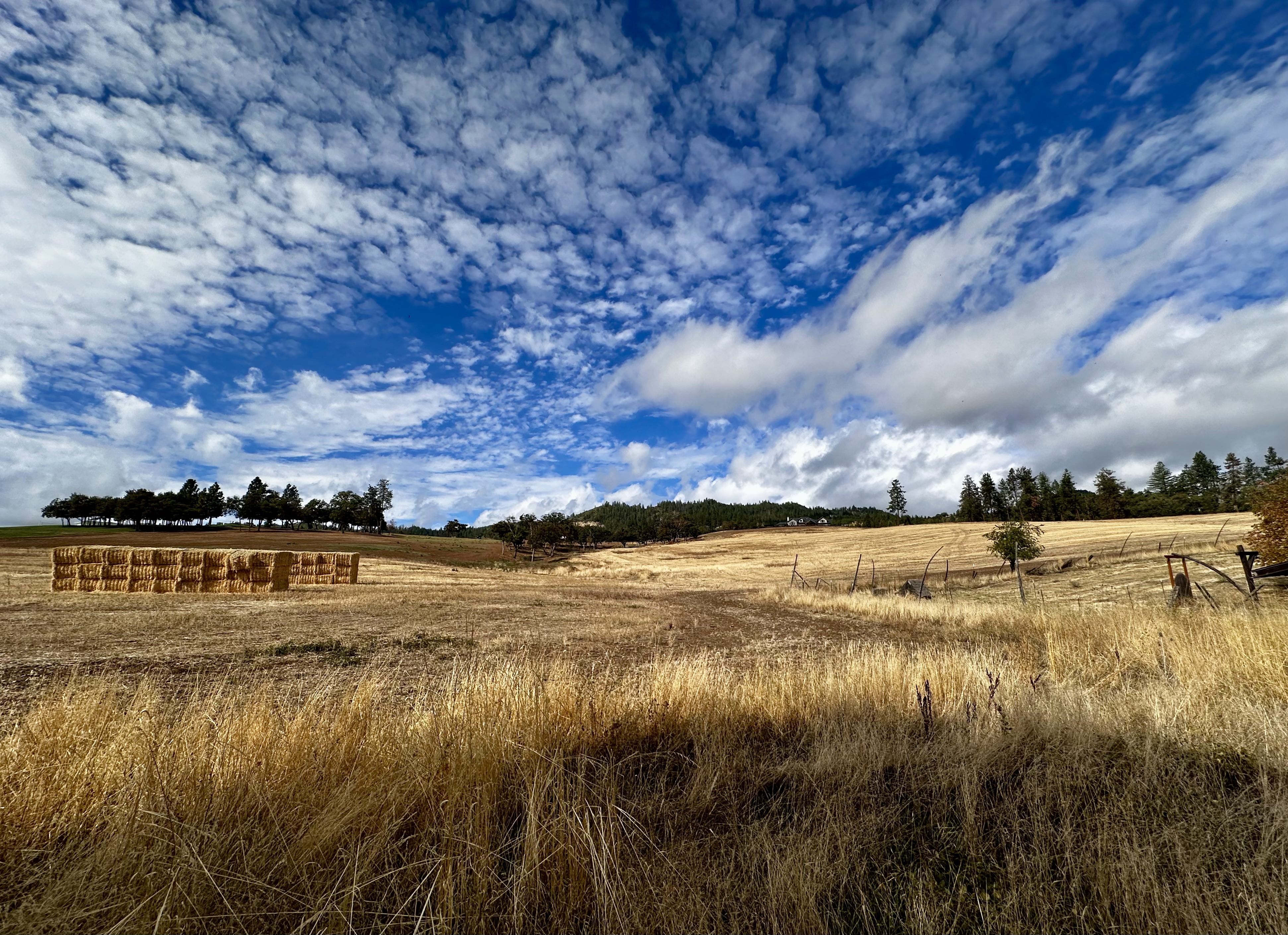 Sunsets-wineries-gated -Garden-fruit Trees- - Oregon